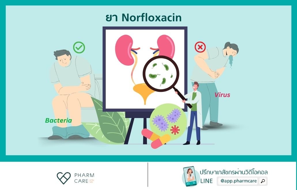 ยาแก้อักเสบ, ยาฆ่าเชื้อ, ยาปฏิชีวนะ, antibiotic, norxacin